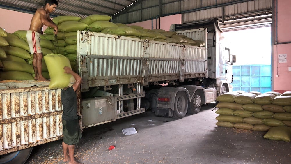 Rio Commodity Co., Ltd. | Myanmar Agricultural Products Trade House ...